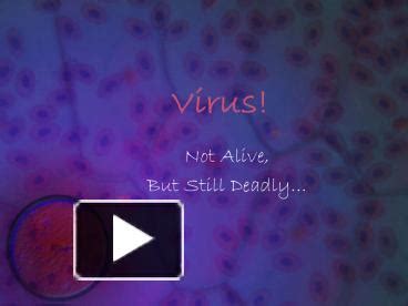 Virus Presentation Free To View