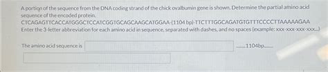 solved a portion of the sequence from the dna coding strand