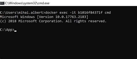 a tool to leak memory on windows linux and within containers mihai