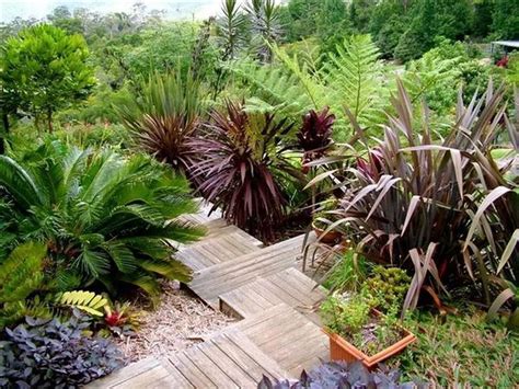 Nz Native Garden Design Ideas How To Give Your Garden A Landscaping
