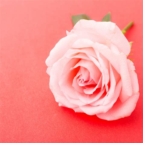 오 놀라운 구세주 예수 내 주 Youtube Music