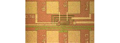 Microscopic Photo Of 4 × 2 Fenand Cell Array Download Scientific Diagram