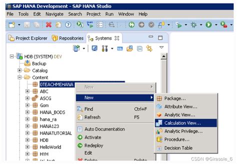 Sap Hana使用sql创建schema：sap Hana Schema Csdn博客