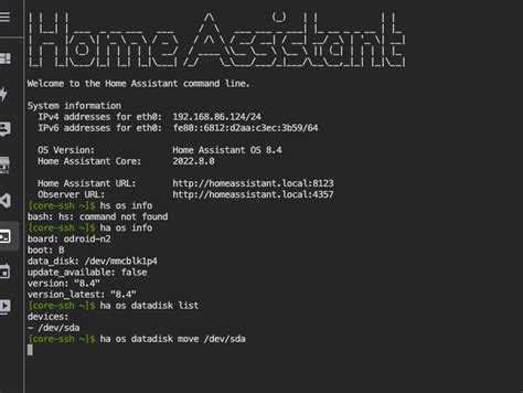 Move Datadisk Help Home Assistant Os Home Assistant Community
