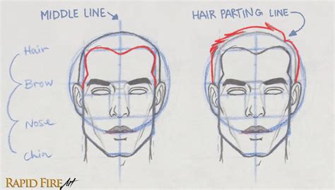 How To Draw A Face From The FRONT Loomis Method RapidFireArt