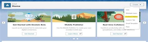 Seamless Integration With Salesforce Bulk Api V2 With Mulesoft A Complete Guide Tgh
