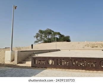 Bahrain Life Royalty Free Images Stock Photos Pictures Shutterstock