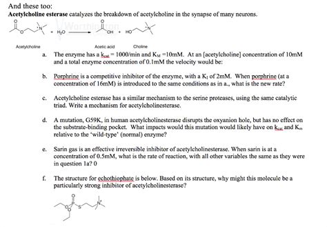Solved And These Too Acetylcholine Esterase Catalyzes The