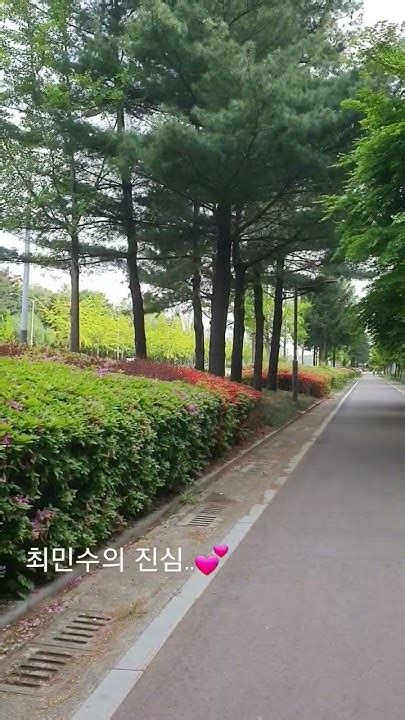 최민수 ♡강주은 부부의 20여년을 함께한 동지애가 느껴지는 마음의편지 ️ Youtube