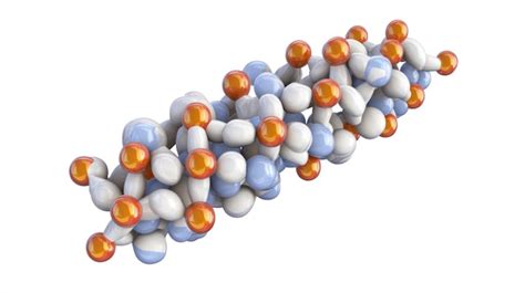Premium Photo 3d Model Of A Polypeptide Chain Molecular Structure Visualization