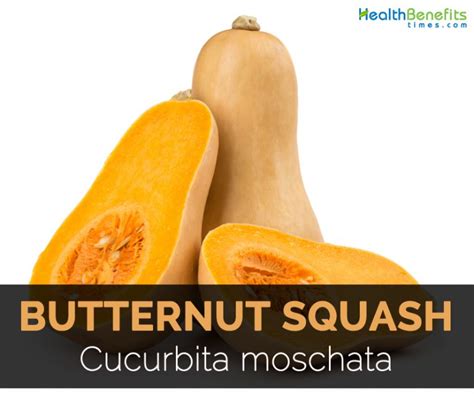 Health Benefits Of Butternut Squash Health Benefits