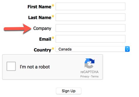 How To Use Dependent Form Fields In Pardot Automation Champion