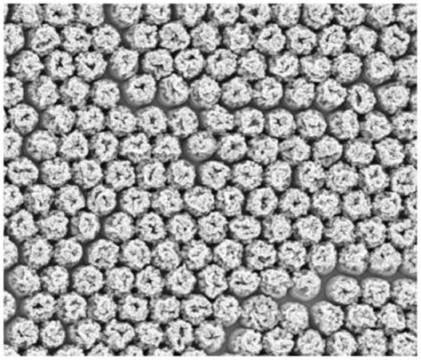 Preparation Method Of Nano Array Structure With Rough Surface Eureka