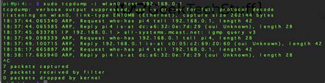 TCPDump Raspberry Pi GeekTechStuff