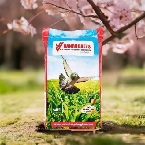 Vanrobaeys De Zevenster