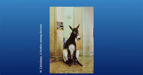 Abouthydrology Modelling And Hydrological Modelling