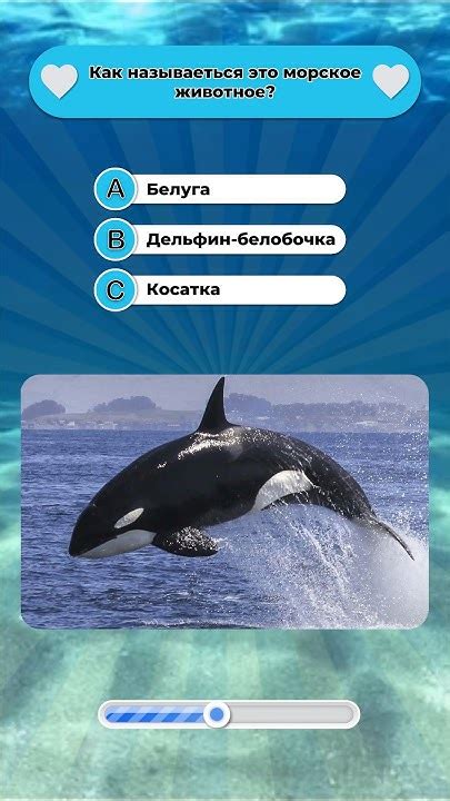 Угадай морского обитателя по картинке викторина животные вопросы