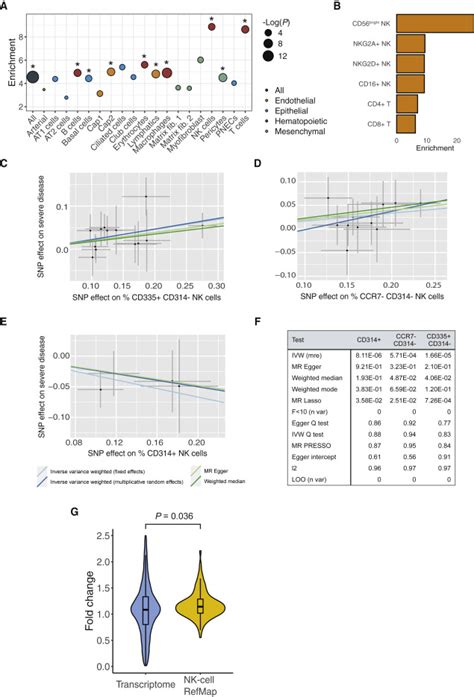 Multiomic Analysis Reveals Cell Type Specific Molecular Determinants Of