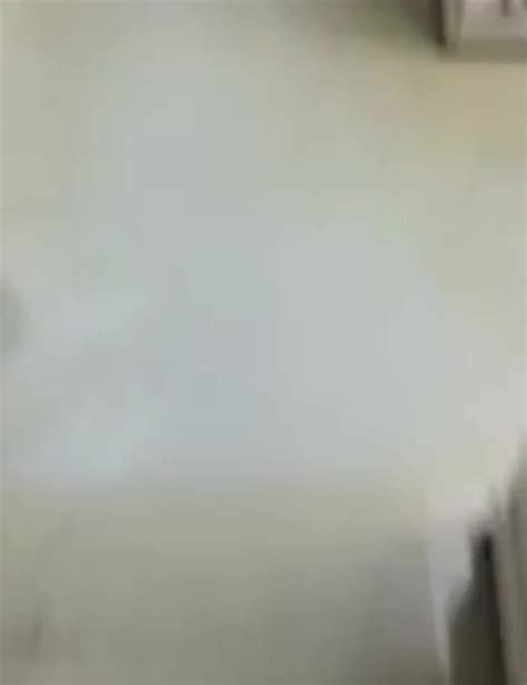 Follow Him With Me Thisvid Com