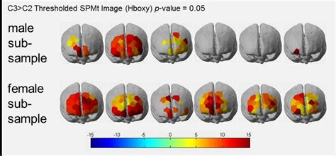 C3c2 Differences Between Activation Of The Prefrontal Cortex When