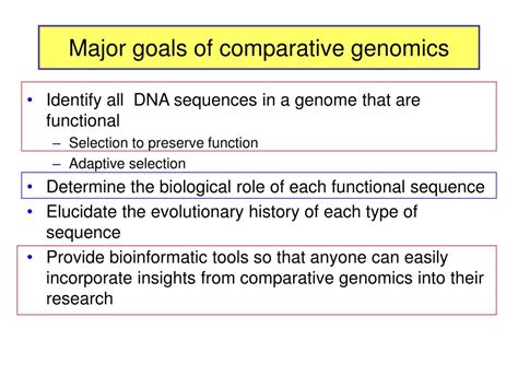 Ppt Comparative Genomics Powerpoint Presentation Free Download Id 1799002