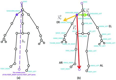 The Joints According To Kinect Sdk A The Normalization Factor Of The