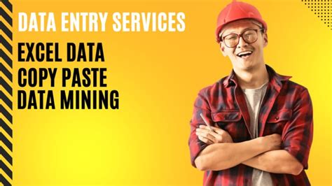 do data entry excel typing data mining copy paste by jamalyounas543