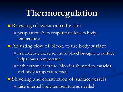 Ppt The Integumentary System Powerpoint Presentation Free Download Id 357757