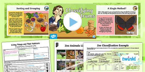 Grouping Of Living Things Classifying Living Things Lesson