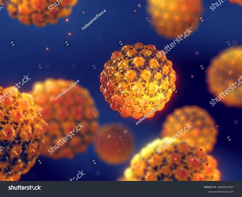 Human Papillomavirus Hpv Common Sexually Transmitted Stock Illustration 2442023427 Shutterstock