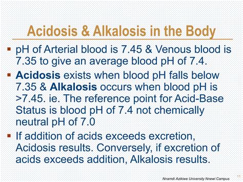 Acid Base Homeostasis Pptx Lung And Respiratory Health Diseases