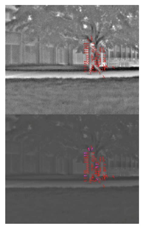 Motion Detection Of The “thermal Video” Using The Phase Based Algorithm