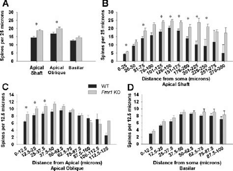 Fmr1 Ko Mice Bred In A C57bl 6 Background Exhibited Greater Overall Download Scientific Diagram
