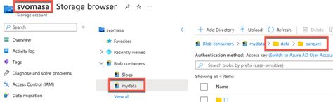 Sas Viya On Microsoft Azure Marketplace Accessing Your Data On Adls Gen2
