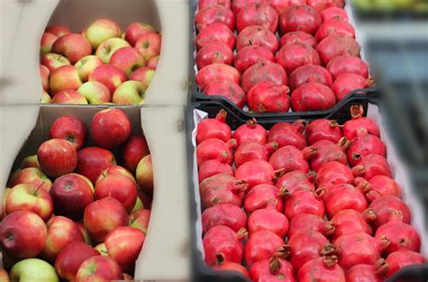 Овочі та фрукти схема схема ринку Ринок `Шувар`