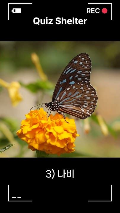 지식과 상식 급속충전 3 quizgame 상식 상식퀴즈 science youtube