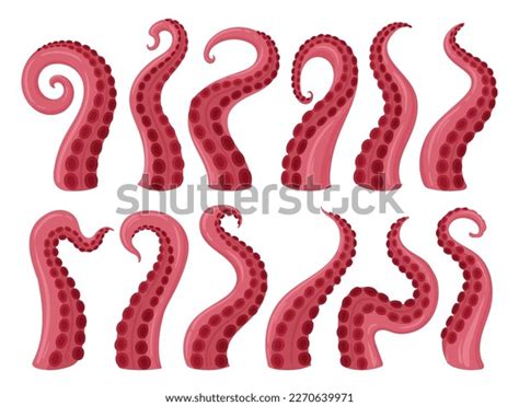 Octopus Tentacles Cartoon Marine Creature Palpus Stock Vector Royalty