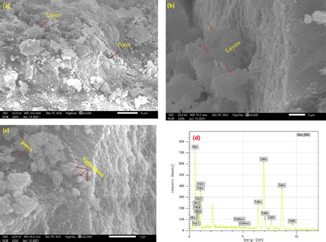A−c Sem Images With Different Magnifications And D Edx Spectrum Of