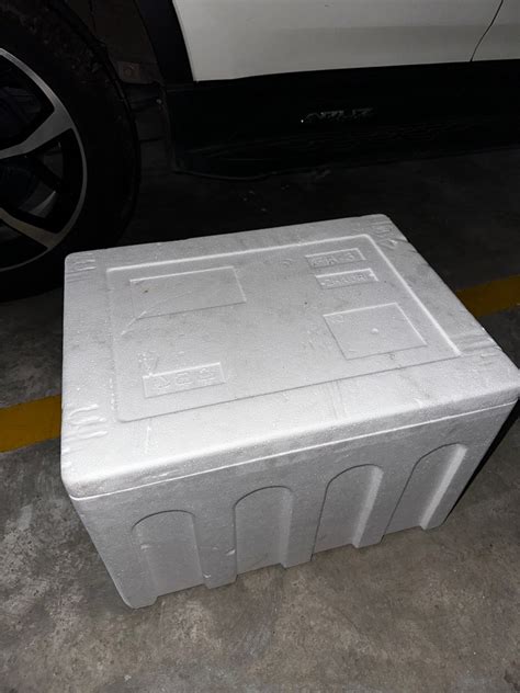 Polystyrene Ice Box Negotiable Price Food And Drinks Other Food And Drinks On Carousell