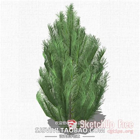 966 Tree Sketchup Model Free Download 966 Tree Sketchup Model Free Download