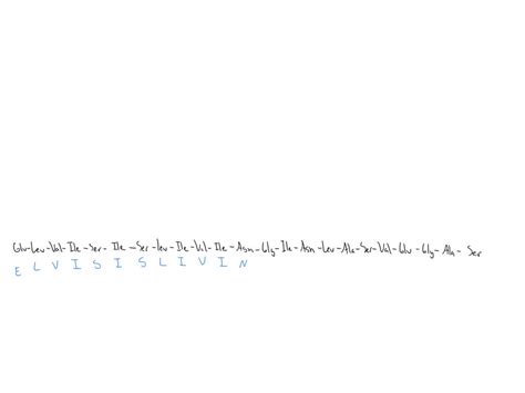 solved translate the given amino acid sequence into one letter code glu leu val ile ser ile