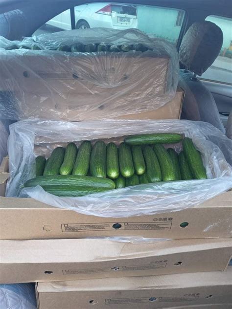 Jims Zarna орос огурцы хямд зарна Facebook