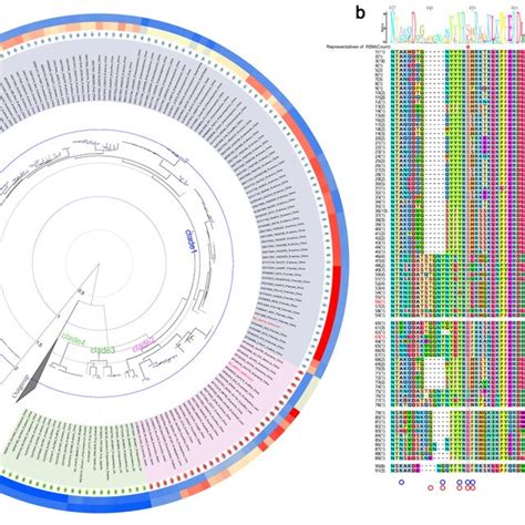 Characterization Of Complete S Protein And Rbm Sequences In Natural