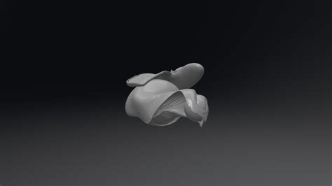 Blob D Model By Jos Hamann Joshamann B B Sketchfab