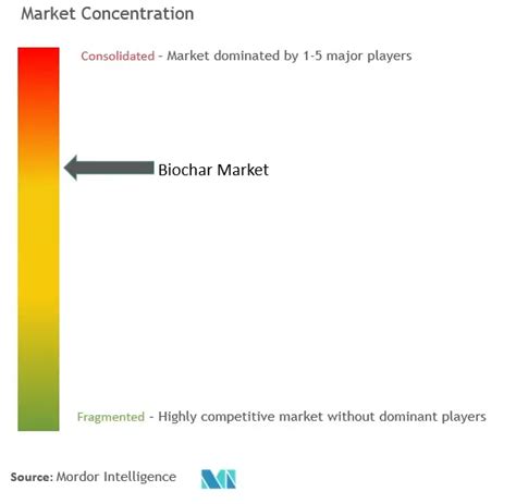 Biochar 시장 규모 동향 및 성장