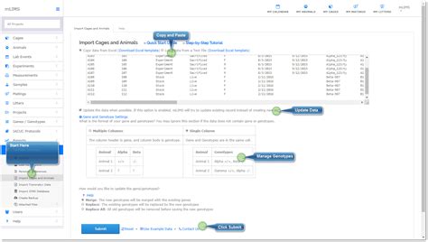 copy and paste data