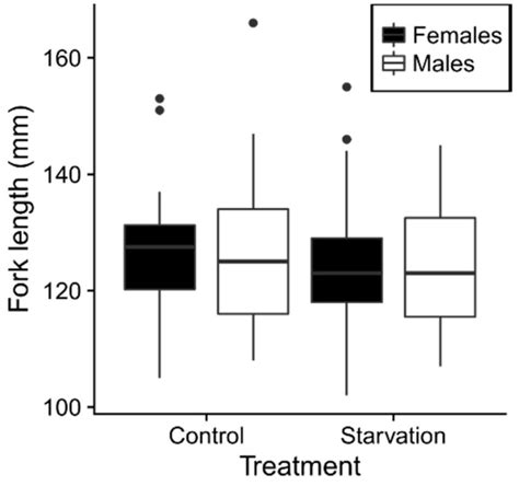 Tukey Boxplots Showing The Distribution Of Fork Length In Recaptured