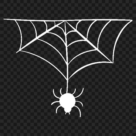 Spider Web Png No Background