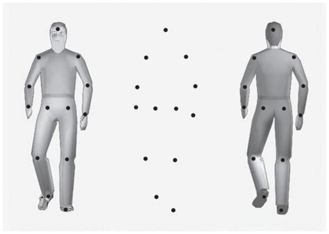 Illustration Of A Single Frame Of The Bistable Point Light Walker