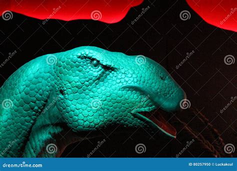 Plateosaurus Editorial Image Image Of Period Genus 80257950